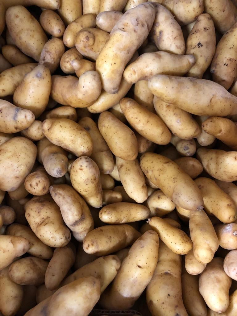 Papas Fingerling / Fingerling Potatoes (FOREIGN) – Frutos del Guacabo