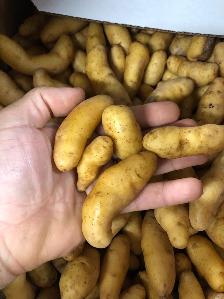 Papas Fingerling / Fingerling Potatoes (FOREIGN) – Frutos del Guacabo
